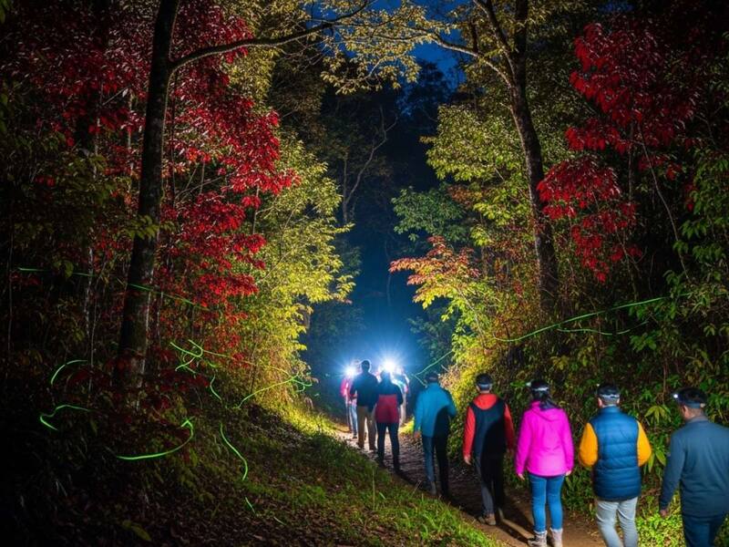 Experience The Thrill Of Night Trekking In Shillongs Enchanting Forests!