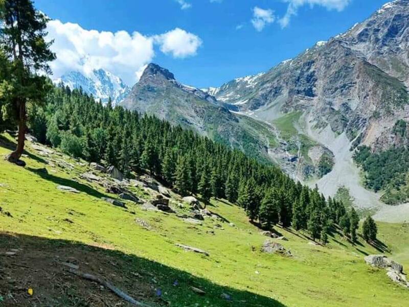 Planning A Solan Trip? These 6 Activities Will Make You Fall In Love ...