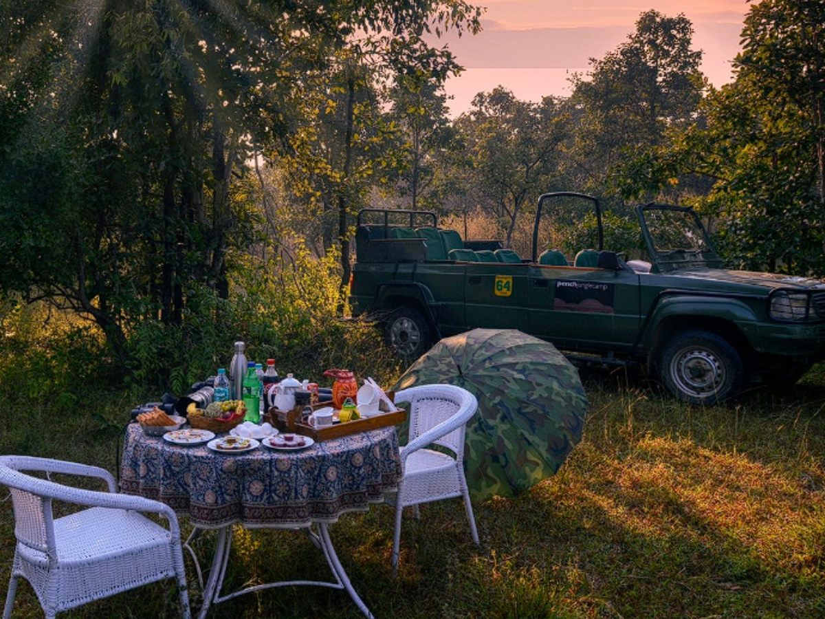 7 Hidden Birdwatching Gems Near Nagpur Every Nature Lover Must Visit