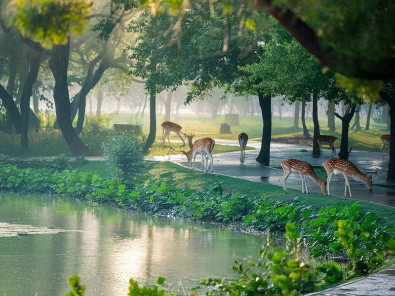 7 Stunning Monsoon Destinations Near Ranchi That Google Maps Won’t Show You