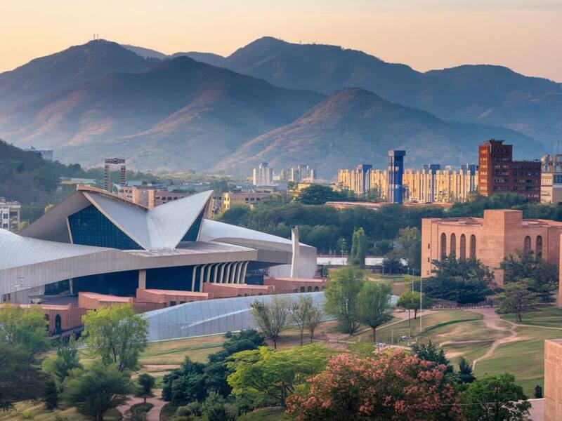 Meet The Rare And Beautiful Flora That Blooms Only In Chandigarh’s Green Belt