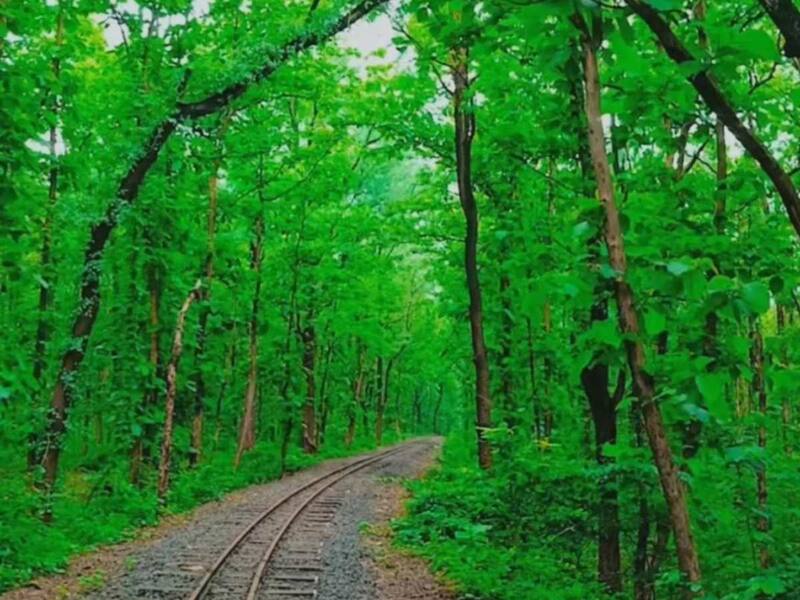 Looking For A Quick Escape? These Picnic Spots In Nagpur Will Refresh ...