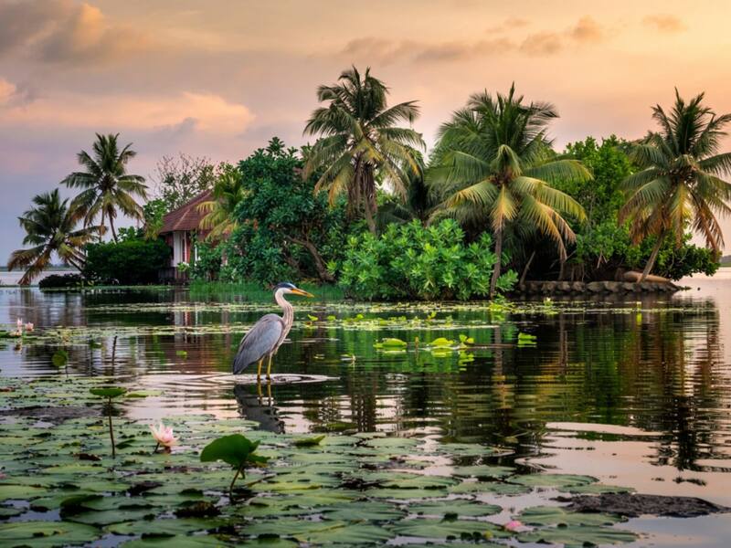 This Backwater Town Has 10 Secrets Even Locals Don’t Know – #7 Will ...