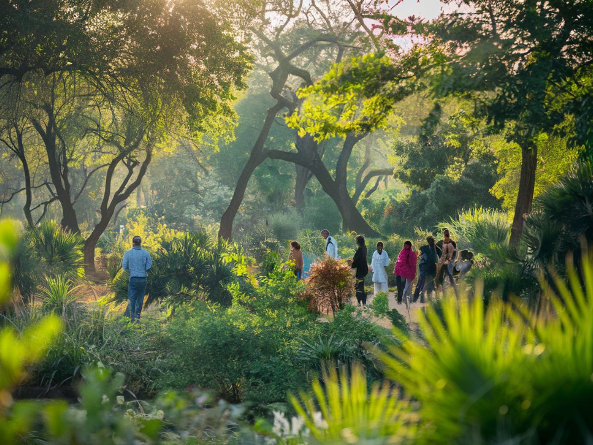 Why Everyone’s Talking About These Green Getaways In Banjara Hills?