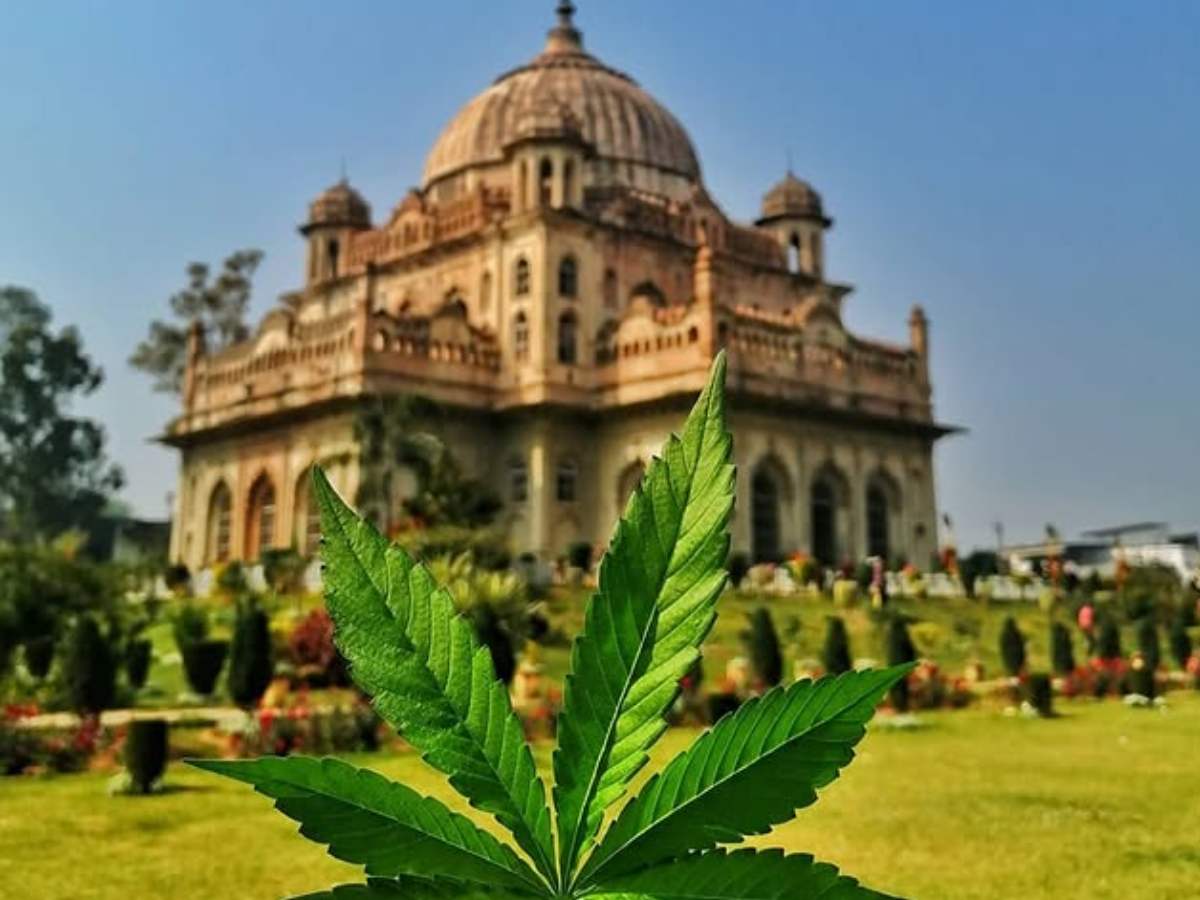 Eco-Warriors Alert! How To Plan A Sustainable Lucknow Vacation Right Now!