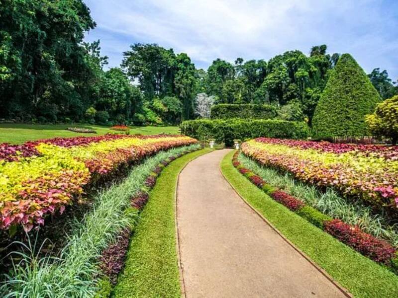 5 Botanical Gardens In Asia So Beautiful You Won’t Believe They’re Real