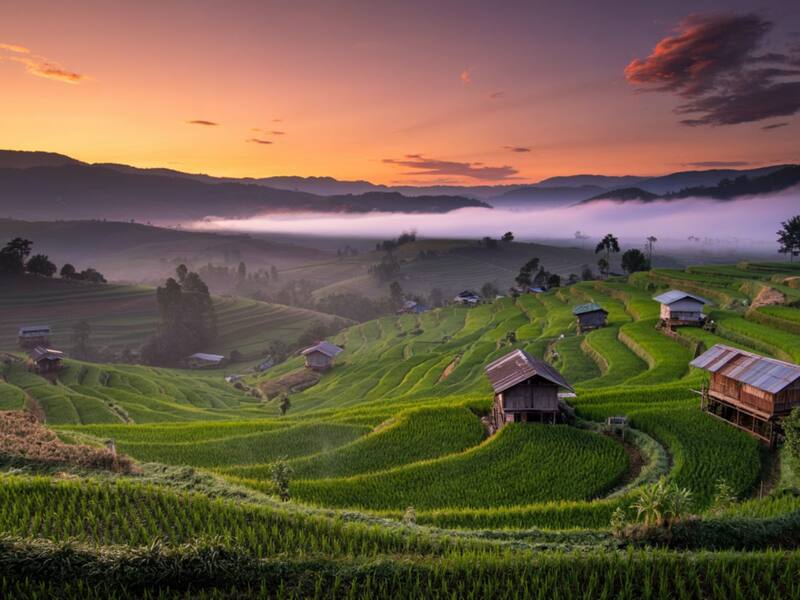 Why Ziro Valley in Arunachal Pradesh is the Perfect Safe Haven For Solo ...