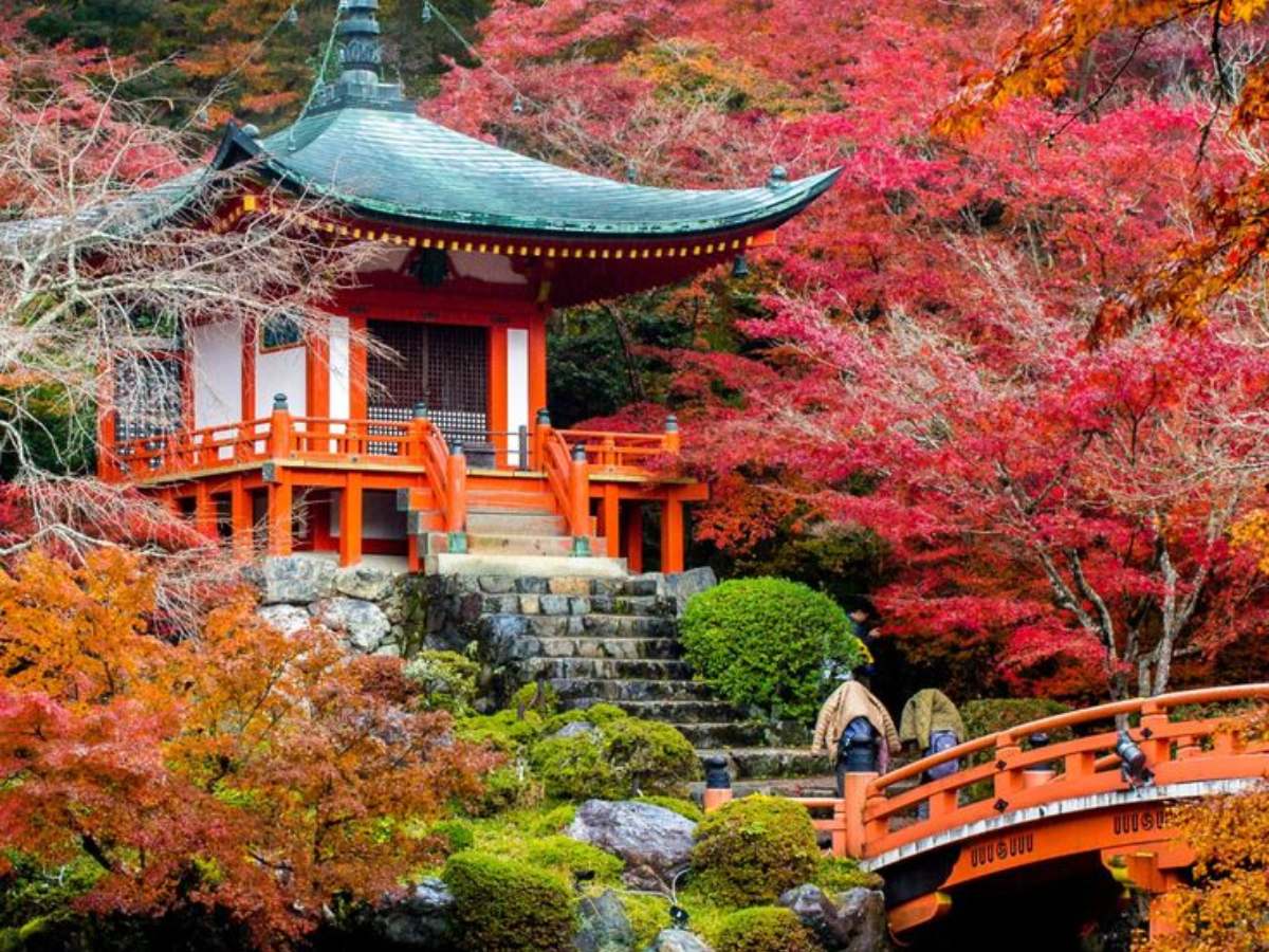 Daigo-ji Temple: A Journey Through Kyoto’s Timeless World Heritage Site