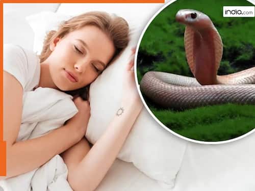 Snake Dream Meaning Photos: Latest News, Trending Topics, Images & Pics ...