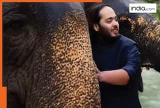 Anant Ambani : Latest News, Videos and Photos on Anant Ambani - India ...