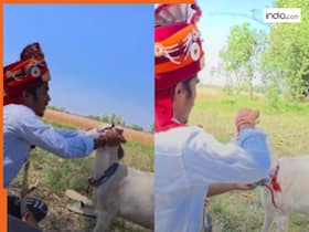Shadi News in Hindi, Latest Shadi News | India.Com News