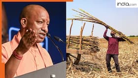 Cm Yogi Adityanath News in Hindi, Latest Cm Yogi Adityanath News ...