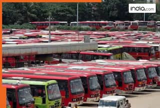Bus : Latest News, Videos and Photos on Bus - India.Com News