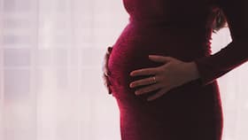 Fetal Development News in Hindi, Latest Fetal Development News | India ...