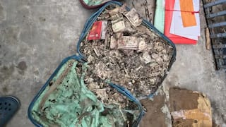 Surendranath College : Latest News, Videos and Photos on Surendranath ...
