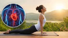 Yoga Poses To Improve Blood Circulation News in Hindi, Latest Yoga ...